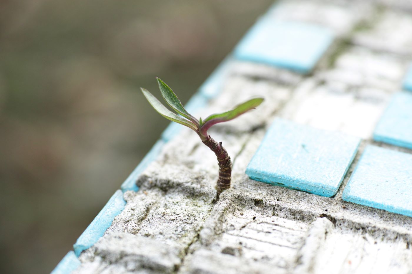 My Parents Sheltered Me. Now I Have Social Anxiety. - Anxious But Able